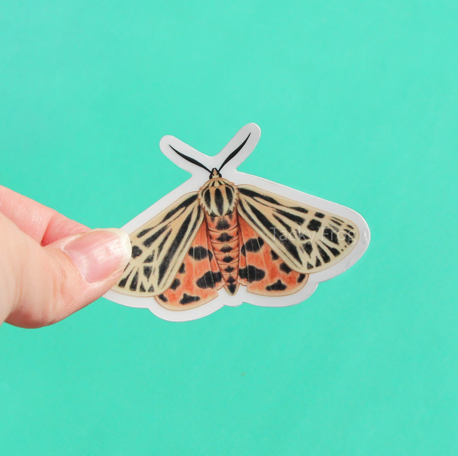 Tiger Moth Clear Vinyl Sticker | 3 X 1.94 Inches | Transparent, Durable ...