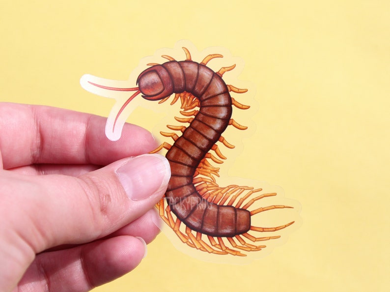 Centipede Clear Vinyl Sticker | 2.12 X 3 Inches | Transparent, Durable ...