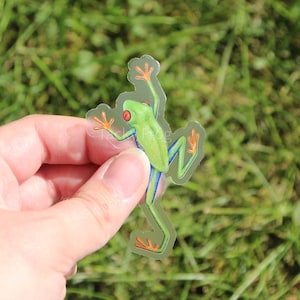 Red-eyed Tree Frog Clear Vinyl Sticker | 3 X 1.68 Inches | Transparent ...