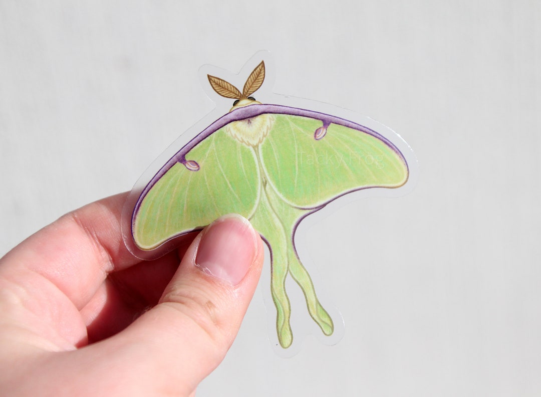 Luna Moth Clear Vinyl Sticker | 3 X 2.97 Inches | Transparent, Durable ...