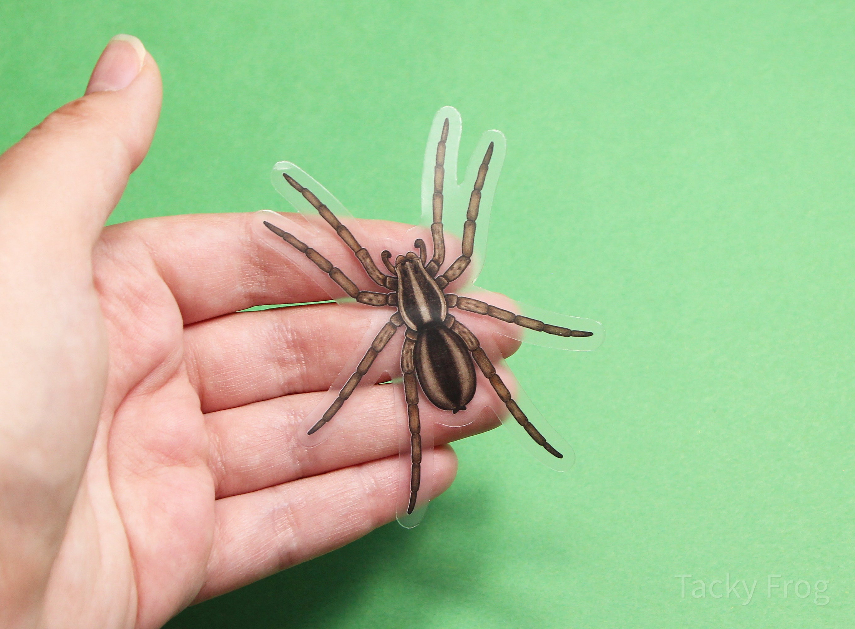 Wolf Spider Clear Vinyl Sticker | 2.5 X 3 Inches | Transparent, Durable ...