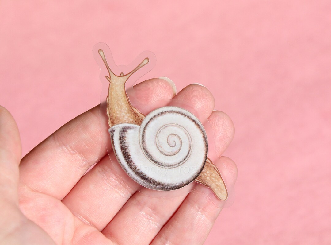 White Garden Snail Clear Vinyl Sticker | 3 X 1.57 Inches | Durable ...