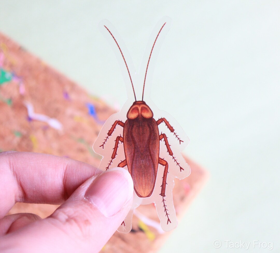 Cockroach Clear Vinyl Sticker | 3 Inches Tall | Transparent, Durable ...