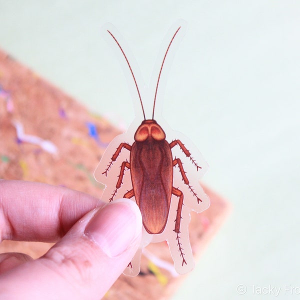 Cockroach - Etsy