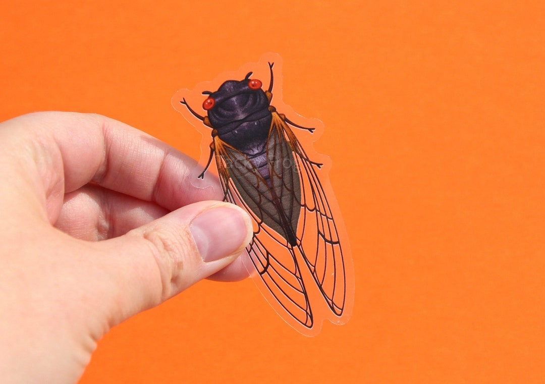 Red-eyed Cicada Clear Vinyl Sticker | 3 X 1.56 Inches | Transparent ...
