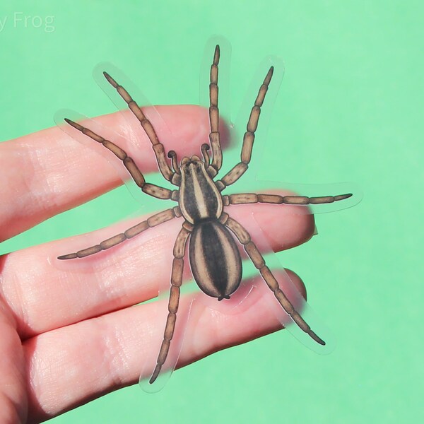 Spider Vinyl Decals - Etsy