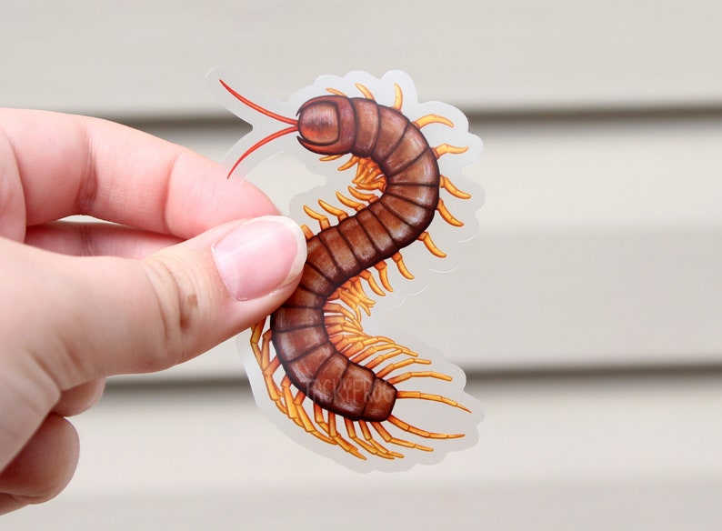 Centipede Clear Vinyl Sticker | 2.12 X 3 Inches | Transparent, Durable ...