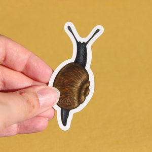 Black Gloss Snail Clear Vinyl Sticker | 3 X 1.44 Inches | Durable ...