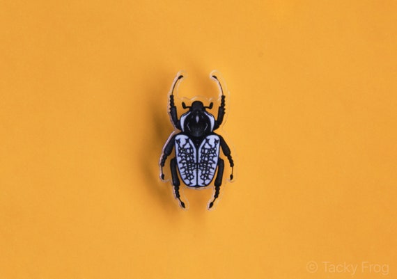 Acrylic Pin of Goliath Beetle W/ Rubber Clutch Cute Tiny | Etsy