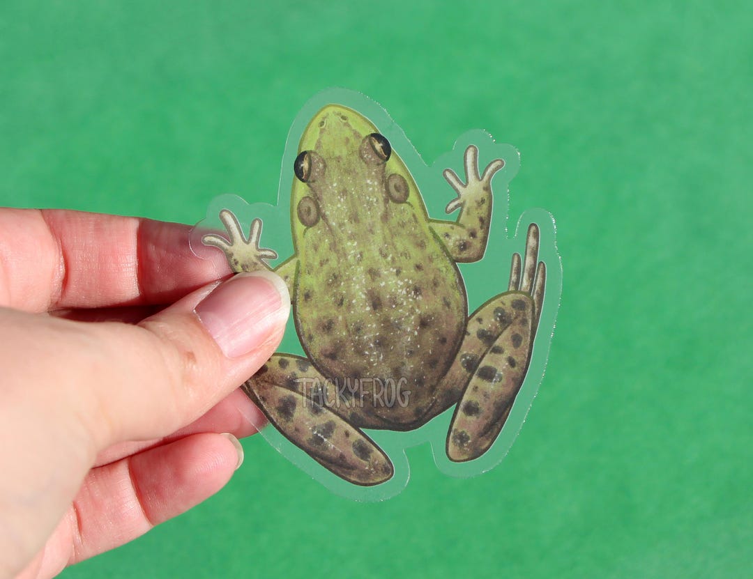 Bullfrog Clear Vinyl Sticker | 3 X 2.8 Inches | Transparent, Durable ...