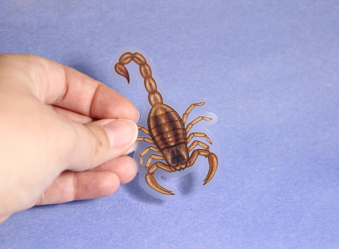 Brown Scorpion Clear Vinyl Sticker | 3 X 1.93 Inches | Transparent ...