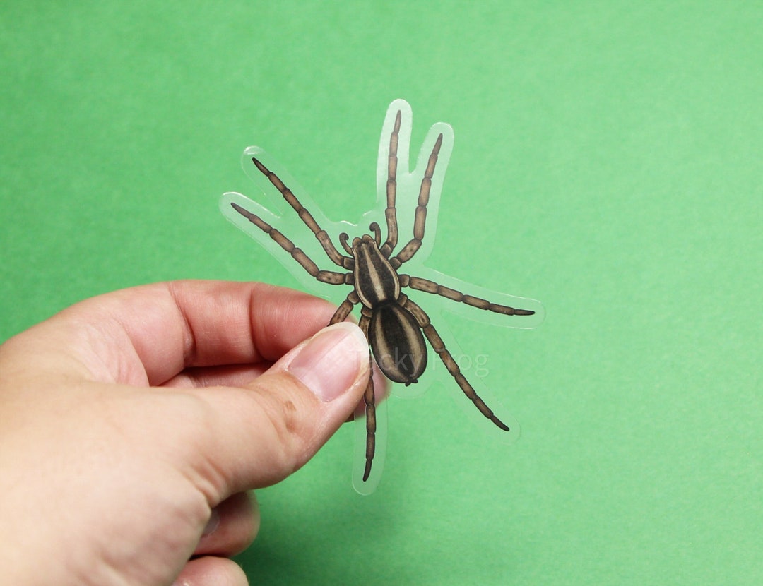 Wolf Spider Clear Vinyl Sticker | 2.5 X 3 Inches | Transparent, Durable ...