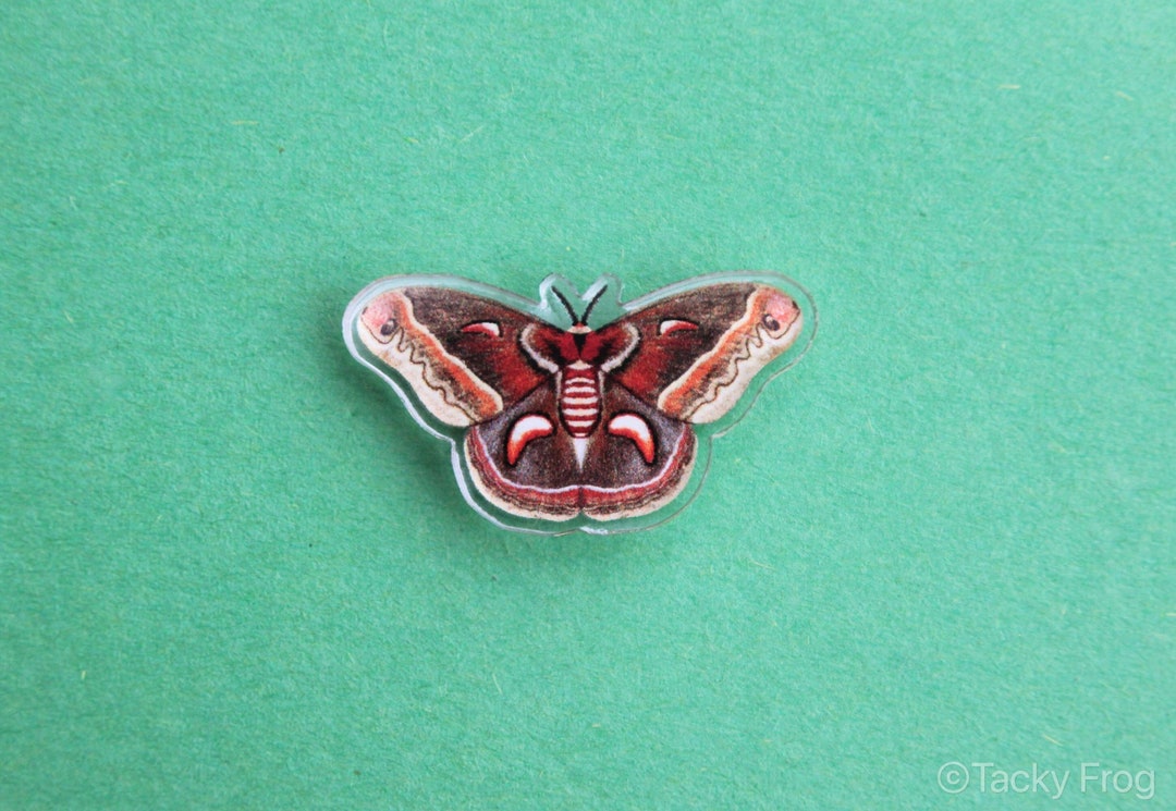 Cecropia Moth Acrylic Pin W/ Rubber Clutch | Cute, Tiny 0.75" X 1.33 ...