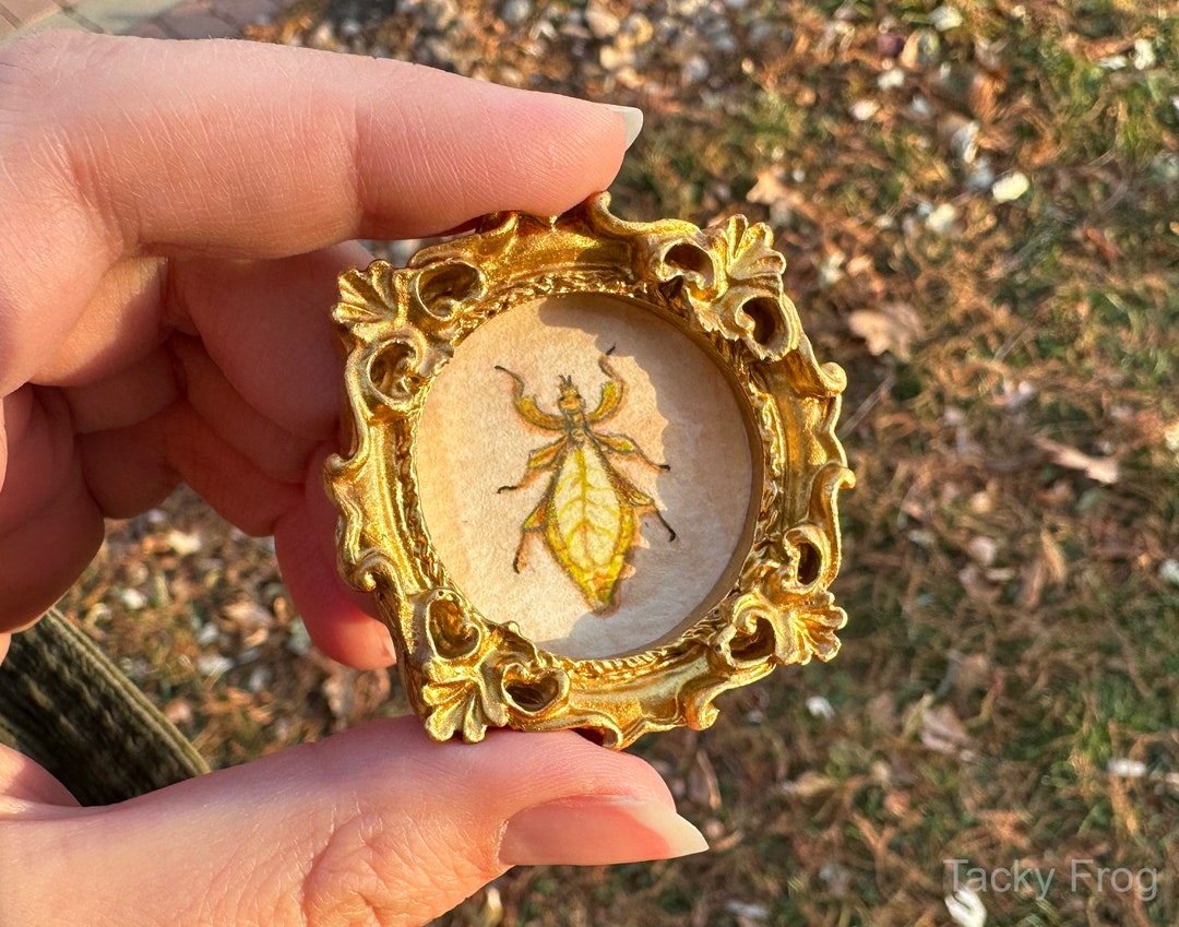 Leaf Insect Miniature ORIGINAL Watercolor, Mixed Media Framed Painting ...