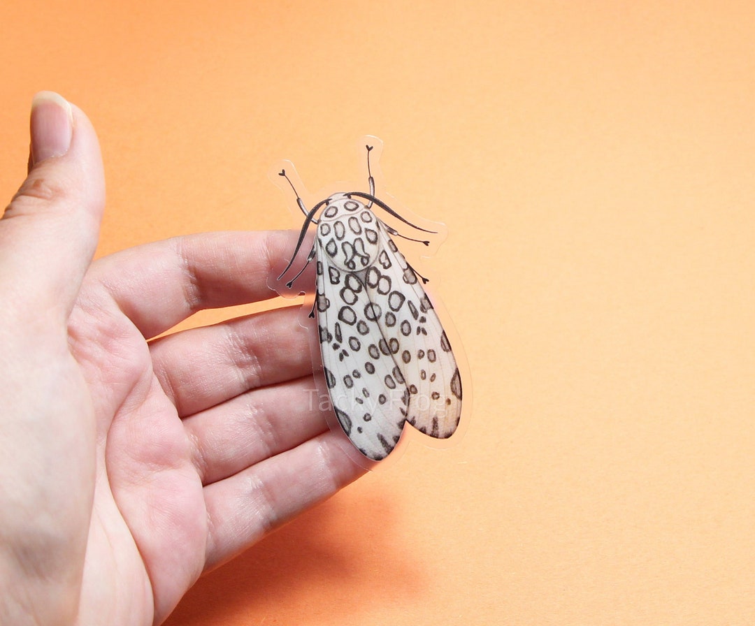 Leopard Moth Clear Vinyl Sticker | 3 X 1.73 Inches | Transparent ...