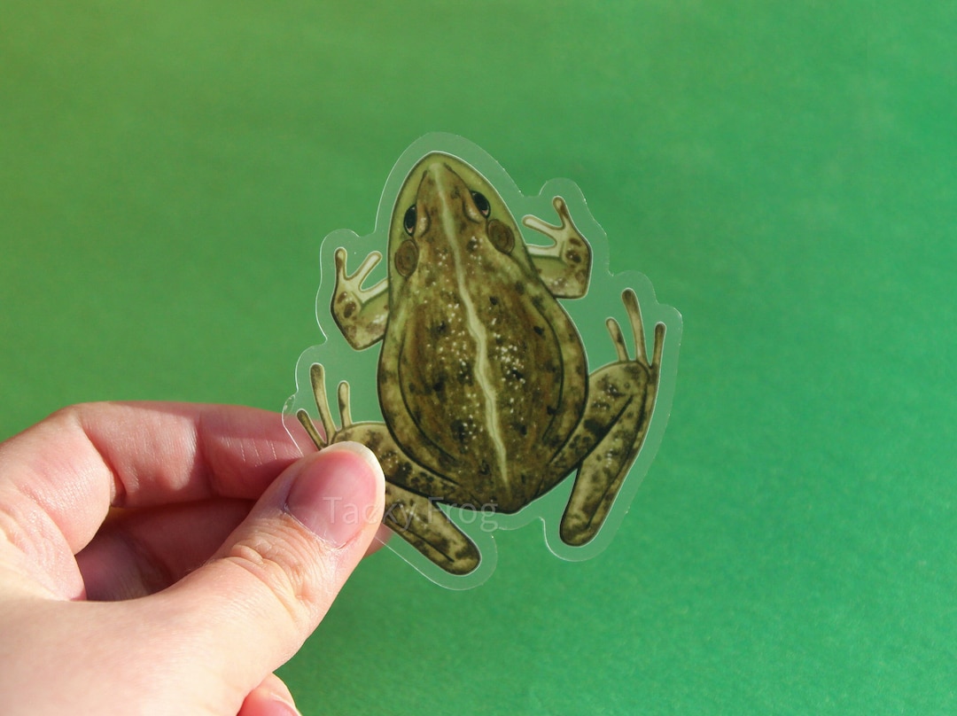 Bullfrog Clear Vinyl Sticker 3 X 2.8 Inches Transparent, Durable ...