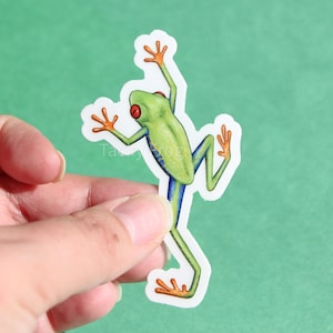 Red-eyed Tree Frog Clear Vinyl Sticker | 3 X 1.68 Inches | Transparent ...