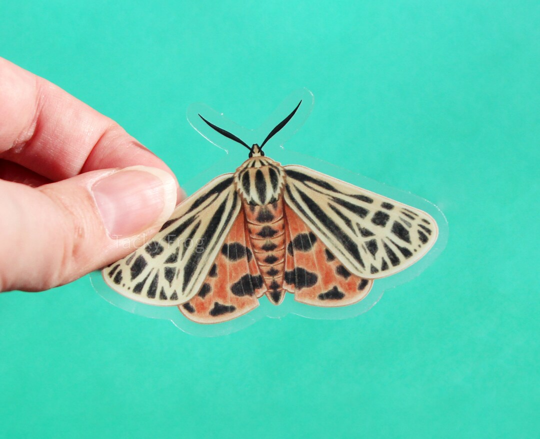 Tiger Moth Clear Vinyl Sticker | 3 X 1.94 Inches | Transparent, Durable ...