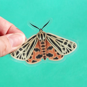 Tiger Moth Clear Vinyl Sticker 3 X 1.94 Inches Transparent, Durable ...