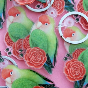Peach-faced Lovebird Acrylic Keychain With Removable Keychain ...