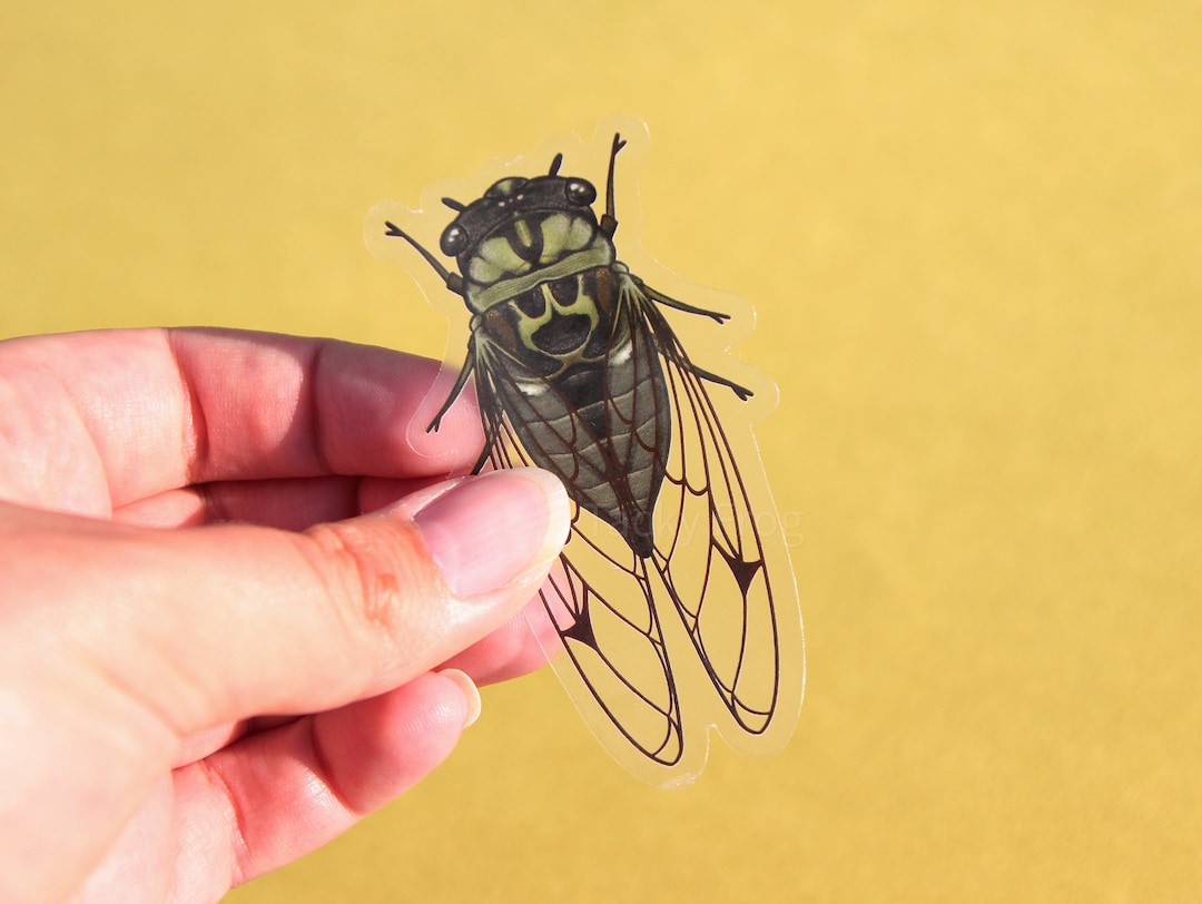 Green Cicada Clear Vinyl Sticker | 3 X 1.70 Inches | Transparent ...