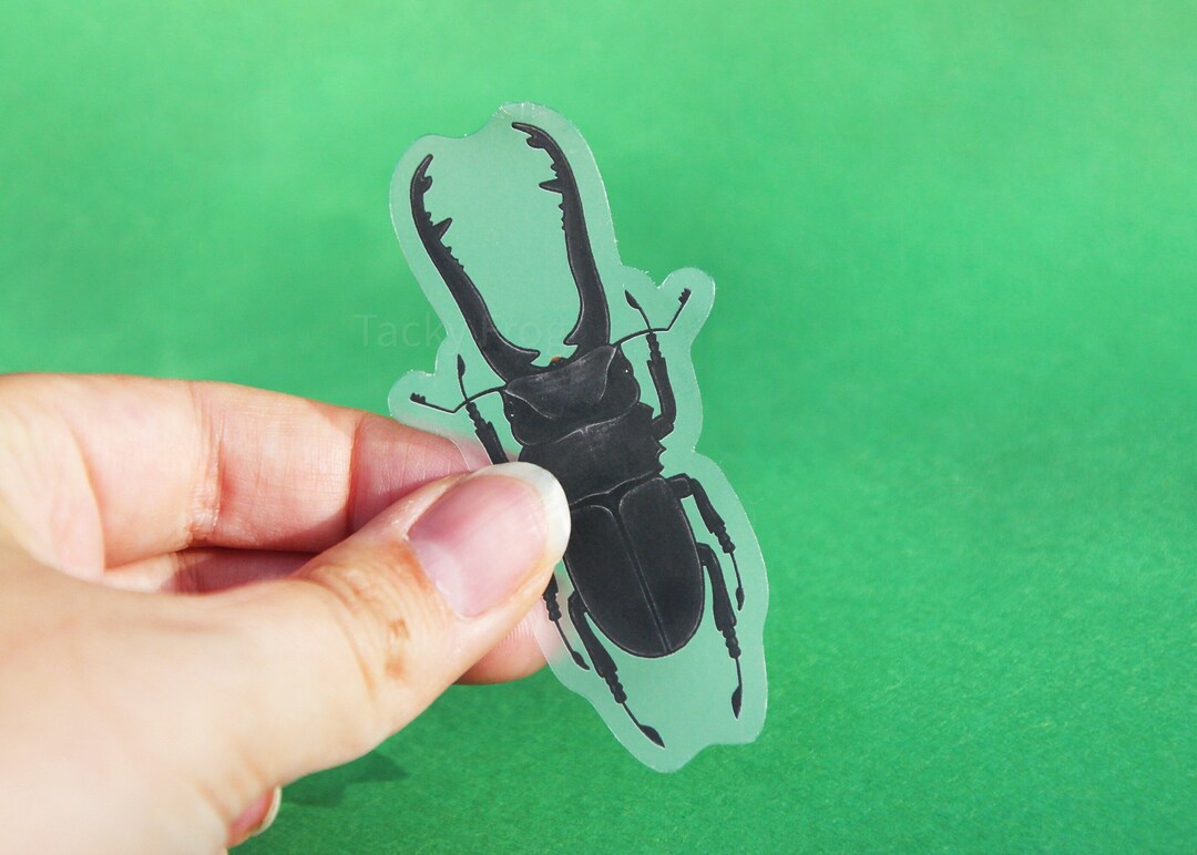 Stag Beetle Clear Vinyl Sticker | 3 X 1.55 Inches | Transparent ...