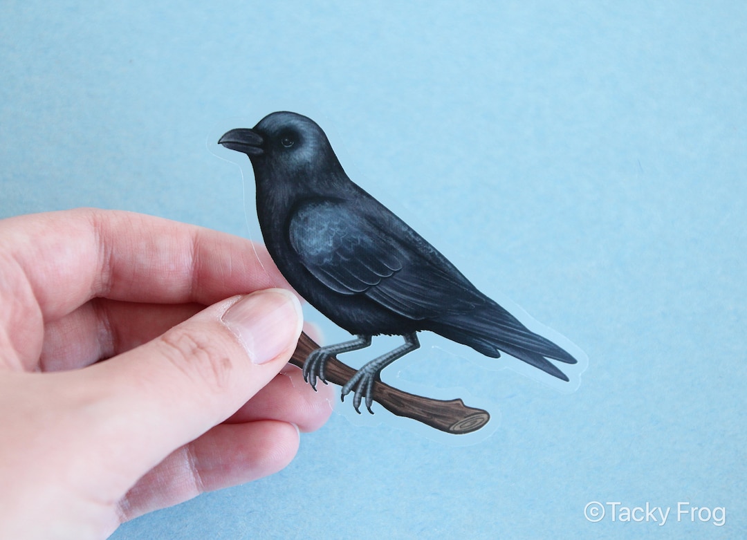 Crow Clear Vinyl Sticker 3 X 2.76 Inches Transparent, Durable ...