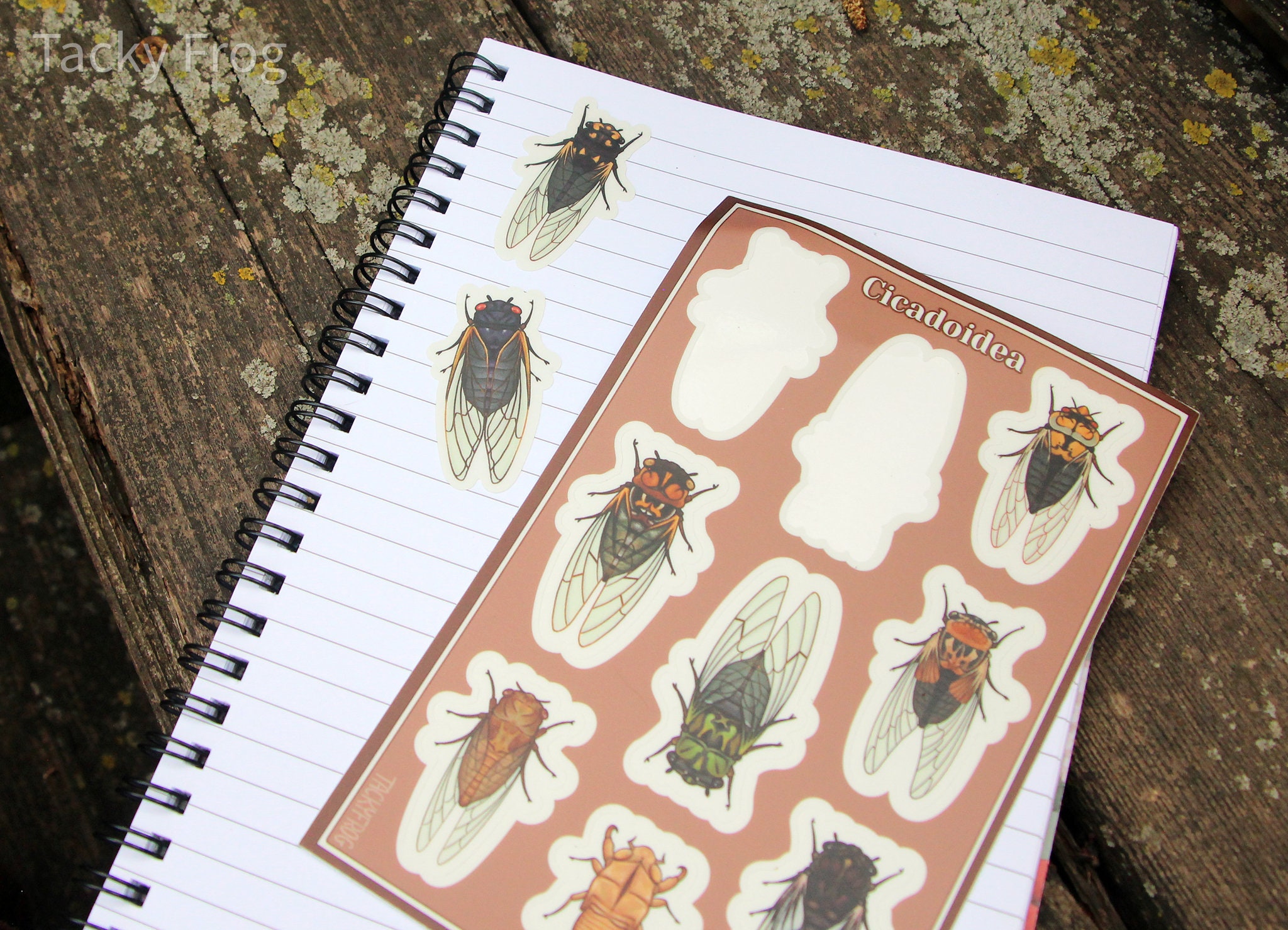 Cicadas 4x6 Sticker Sheet Kiss-cut & Scratch-resistant - Etsy