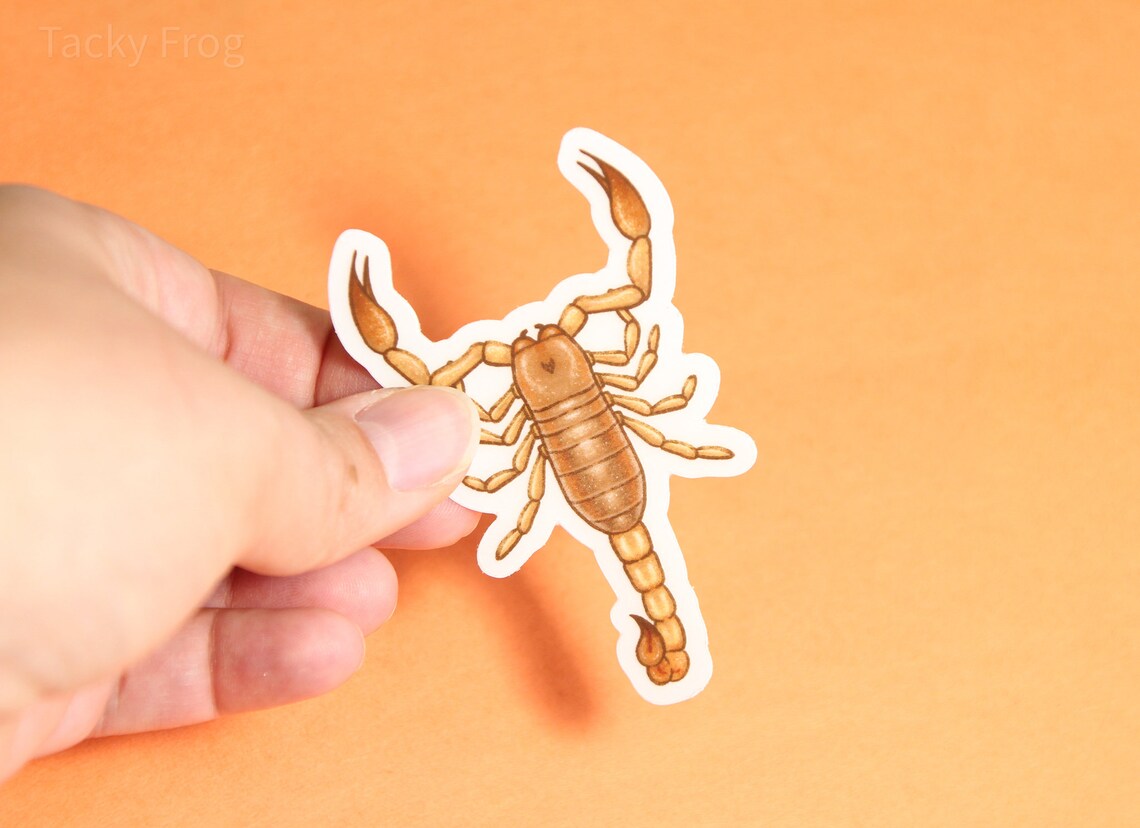 Tan Scorpion Clear Vinyl Sticker | 3 X 1.87 Inches | Transparent ...