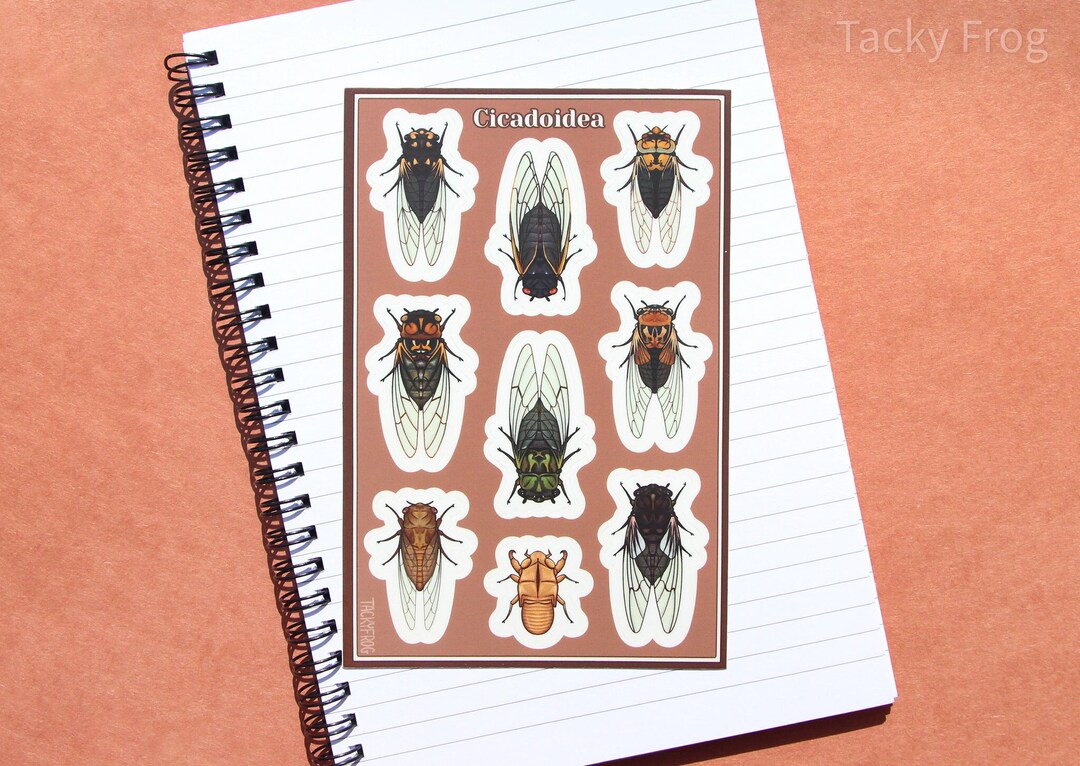 Cicadas 4x6" Sticker Sheet | Kiss-cut & Scratch-resistant Bug, Insect ...