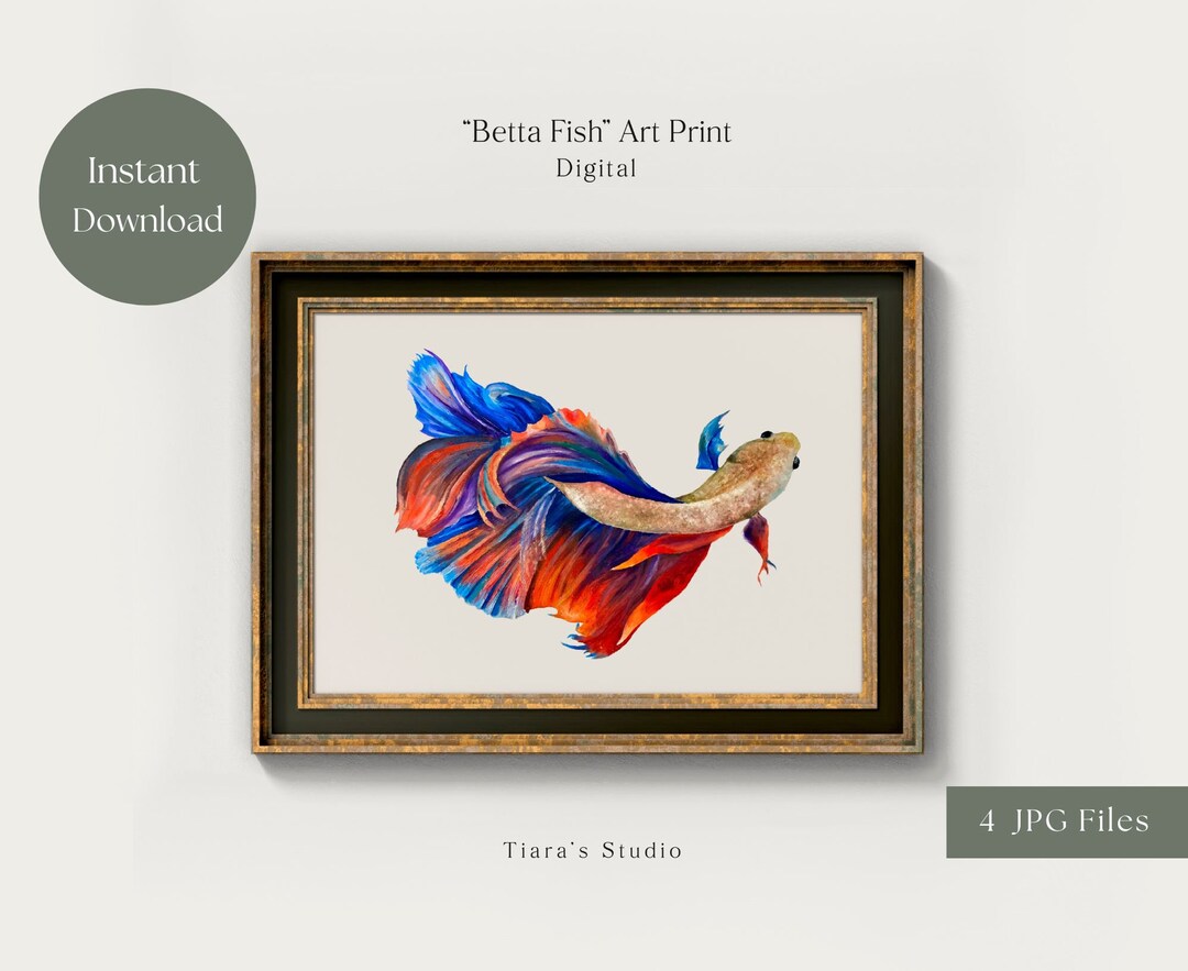 Printable Art Print Betta Fish DIGITAL DOWNLOAD - Etsy