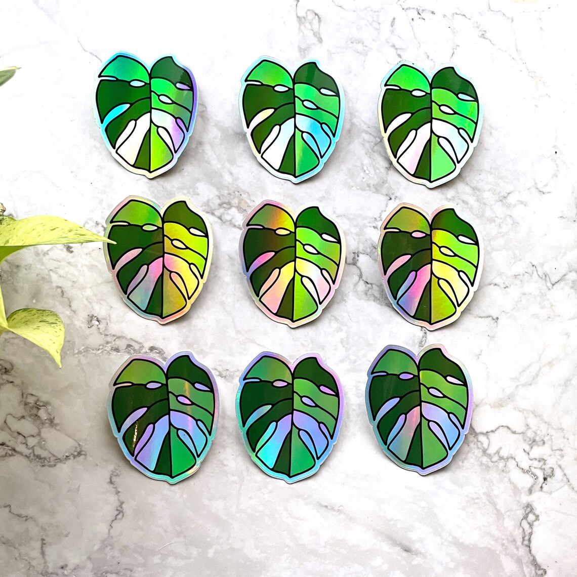 Monstera Leaf Rainbow Holographic Vinyl Laptop Waterbottle Decal - Etsy