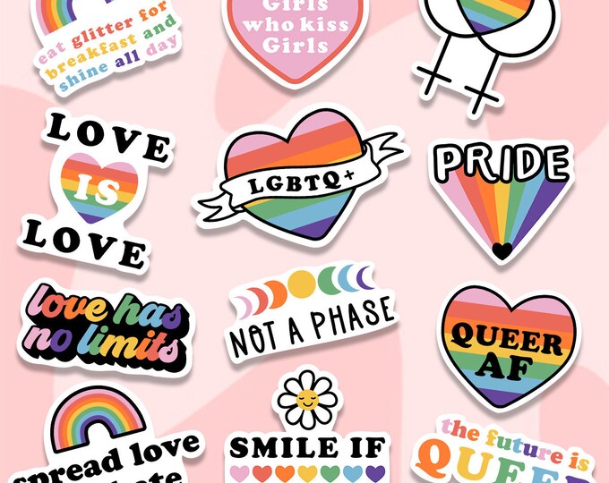 Pride Raccoon Stickers Cute Animal Stickers Water Resistant Glossy ...