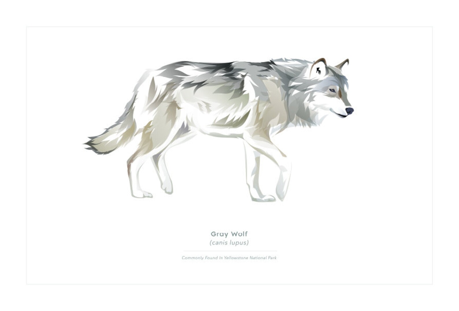Wolf Wall Art Print, Minimalist Gray Wolf Print, Printable Art ...