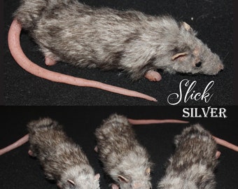 Realistic Rat | Etsy