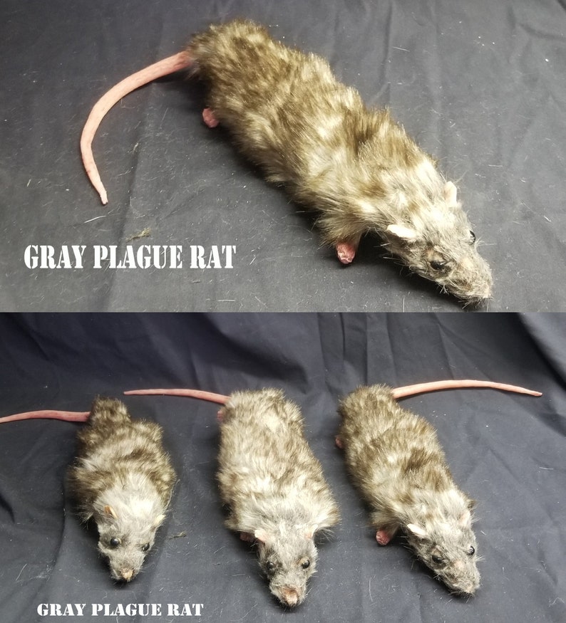 Realistic Prop Rat Lifesized Stuffed Made to Order | Etsy
