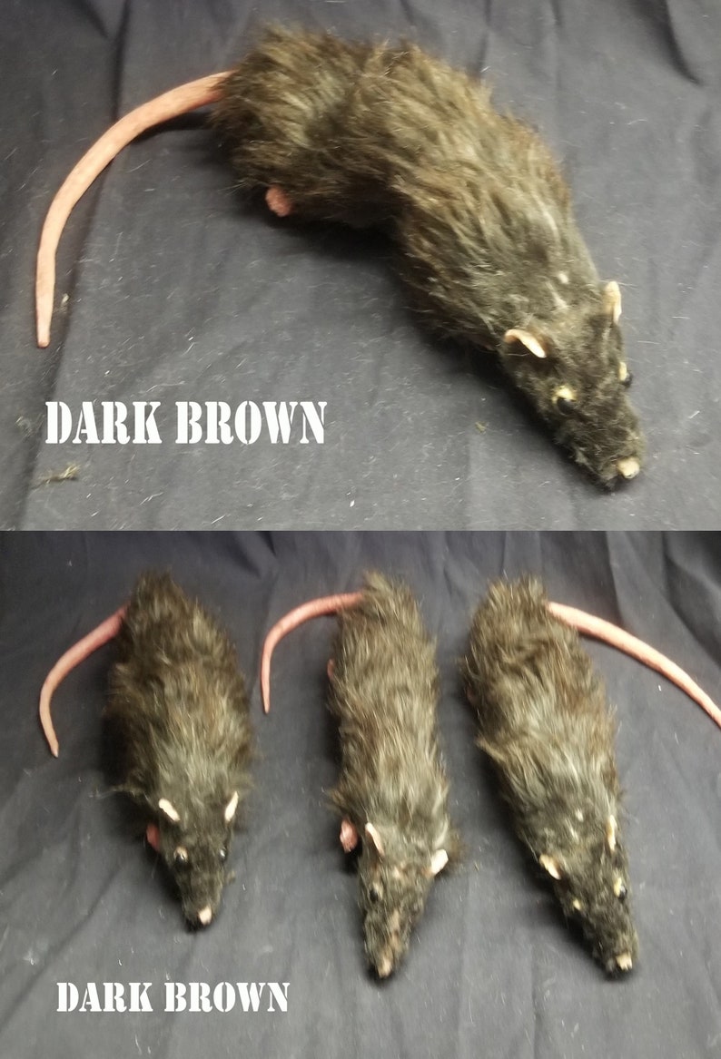 Realistic Prop Rat Lifesized Stuffed Made to Order | Etsy