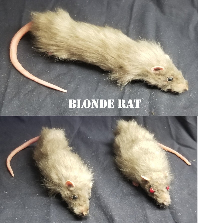 Realistic Prop Rat Lifesized Stuffed Made to Order | Etsy