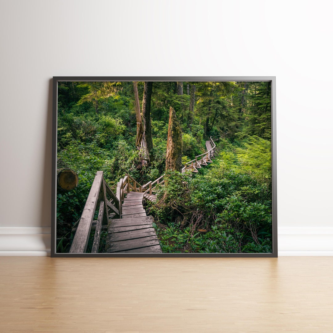 Rainforest Print Tofino Wall Art Rainforest Trail Wall Print Vancouver ...