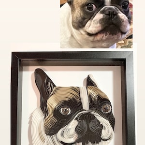 Custom Quilled Pet Portrait: Personalized Pet Memorial Art, Fig and Cat ...