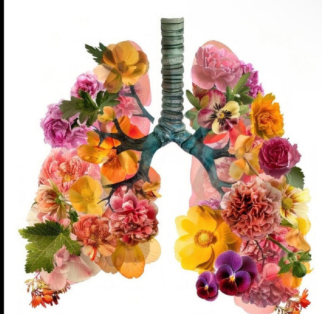 Lung Fkowers Design, Quilling Paper, Cut Cutting, Creative Artful ...