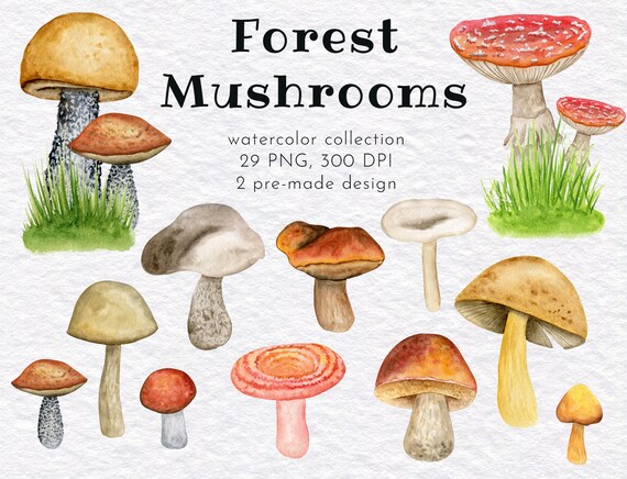 Watercolor Forest Mushrooms Clipart Autumn Forest Fall - Etsy
