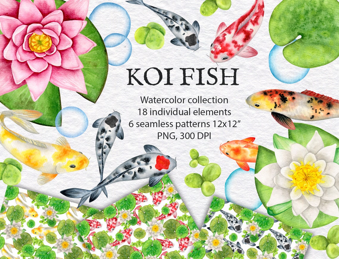 Koi Fish Watercolor Clipart Collection. Koi Pond Digital Paper Pack ...