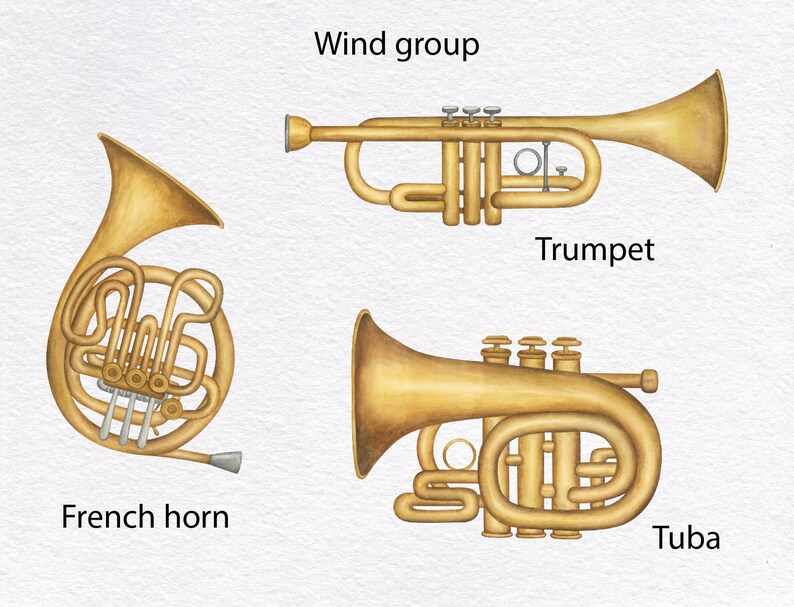 Musical Instruments Set. Watercolor Clipart Collection. Guitar, Violin ...