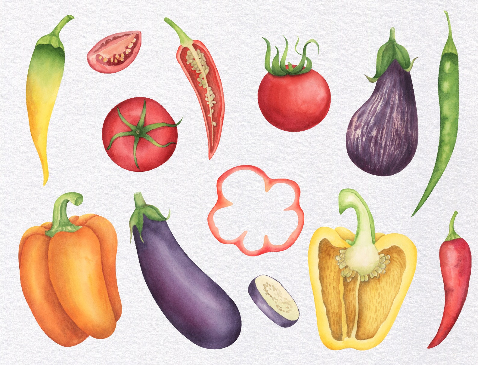 Regular Vegetables Clipart, Watercolor Clipart Set, Root Vegetables ...