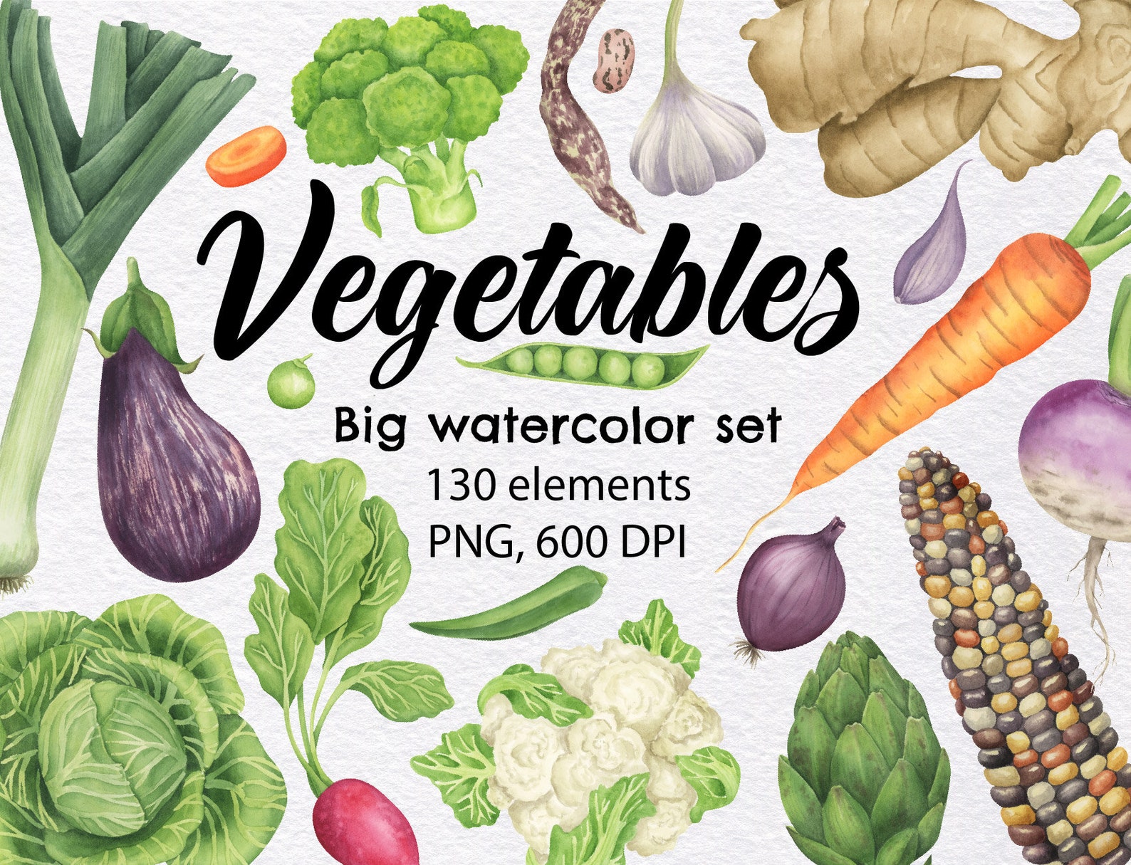 Regular Vegetables Clipart, Watercolor Clipart Set, Root Vegetables ...