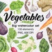 Regular Vegetables Clipart, Watercolor Clipart Set, Root Vegetables ...
