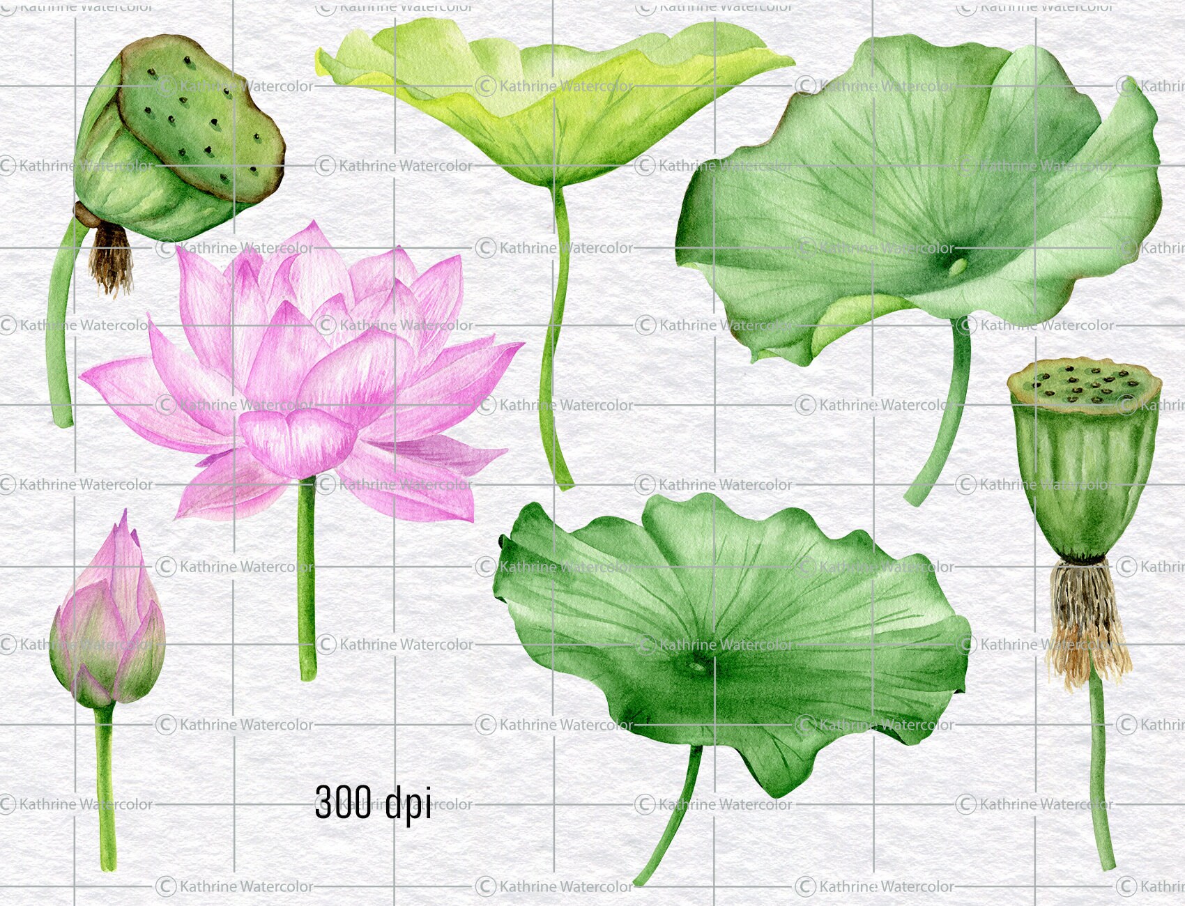 Pink Lotus Flower Watercolor Clipart Collection. Seamless - Etsy