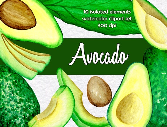 Avocado Watercolor Clipart Food Watercolor Clipart Avicado | Etsy