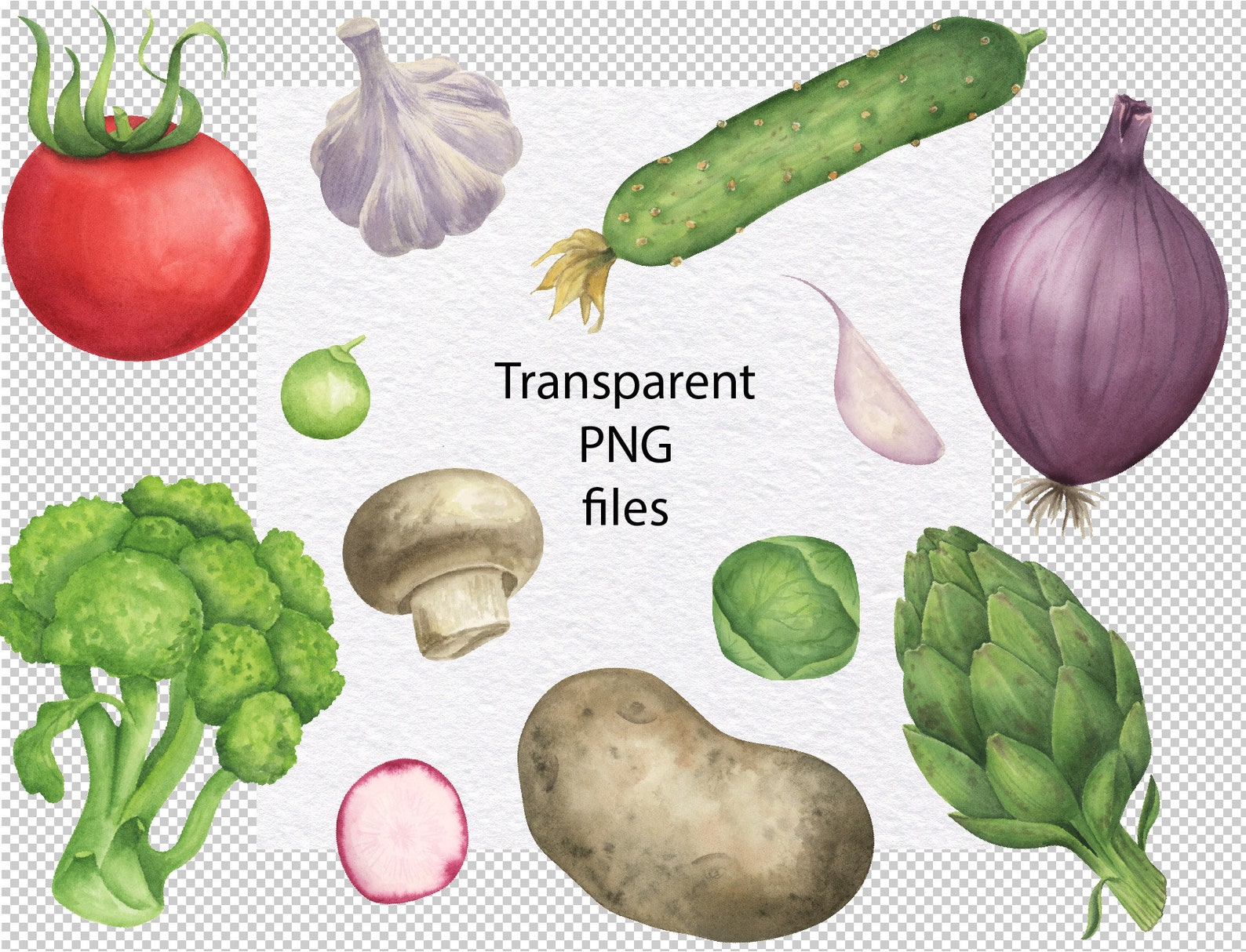 Regular Vegetables Clipart, Watercolor Clipart Set, Root Vegetables ...